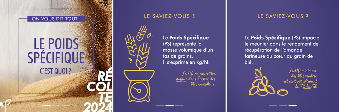 Récolte blé 2024 : Ce qu’il faut savoir ! | Grands Moulins de Paris